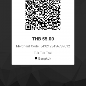 เตรียมจ่ายค่าโดยสาร ซื้อข้าวเหนียวหมูปิ้ง ได้ด้วย QR Code จาก Visa, Master, UnionPay | DroidSans