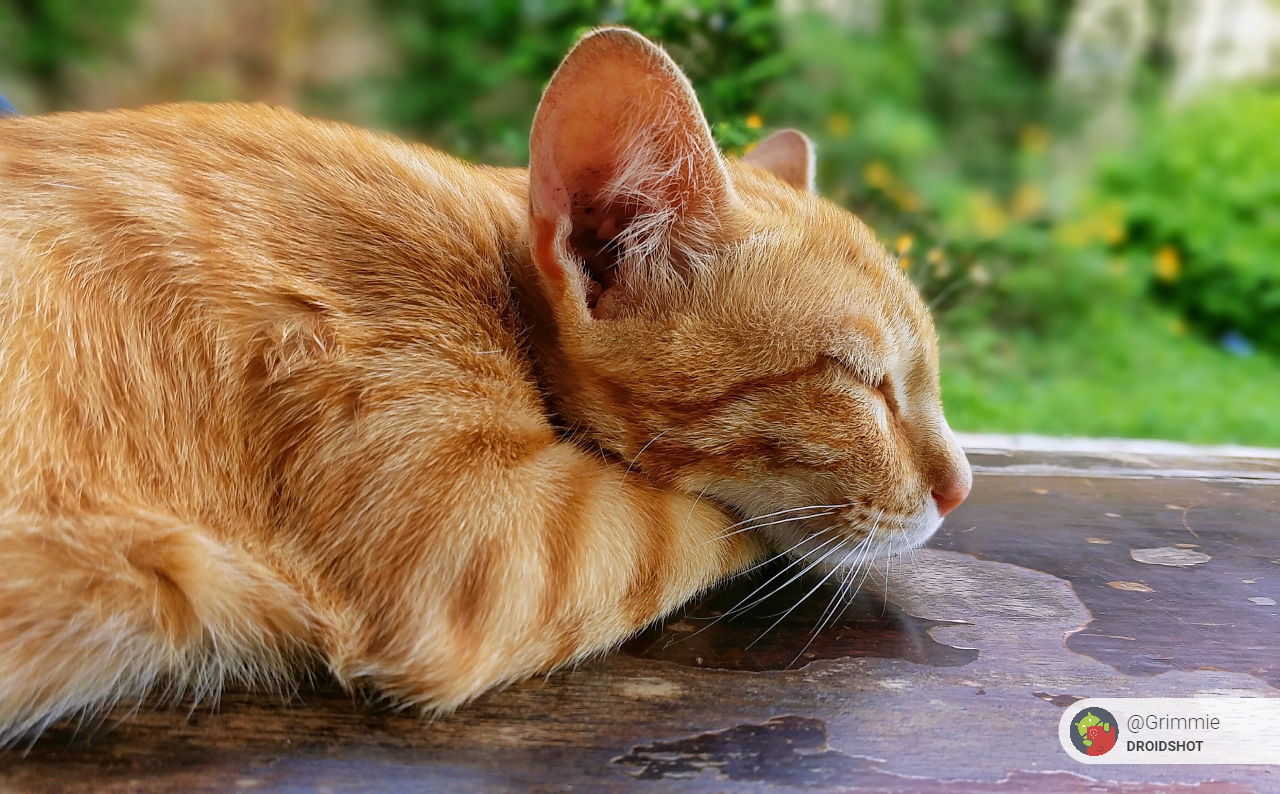 รวมภาพสวยจากกล้อง Android ผ่านแอป DroidShot ประจำสัปดาห์ที่ 30 | DroidSans