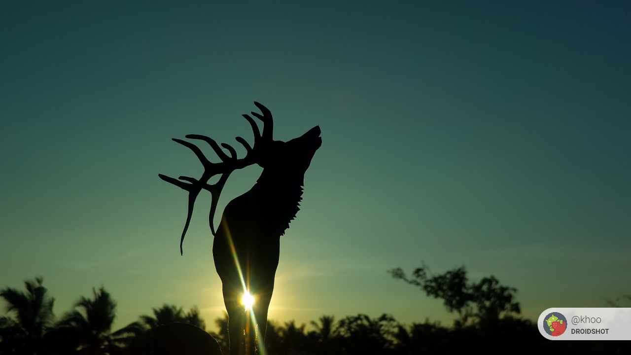 รวมภาพสวยจากกล้อง Android ผ่านแอป DroidShot ประจำสัปดาห์ที่ 30 | DroidSans