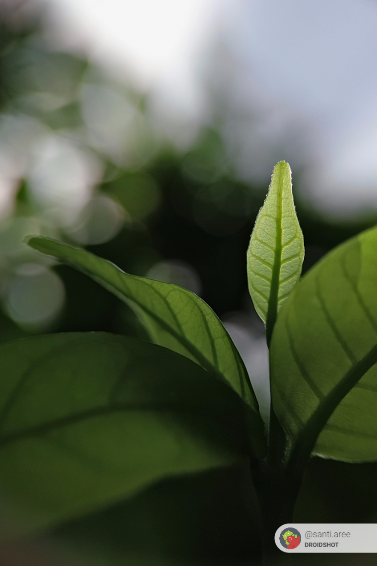 รวมภาพสวยจากกล้อง Android ผ่านแอป DroidShot ประจำสัปดาห์ที่ 30 | DroidSans