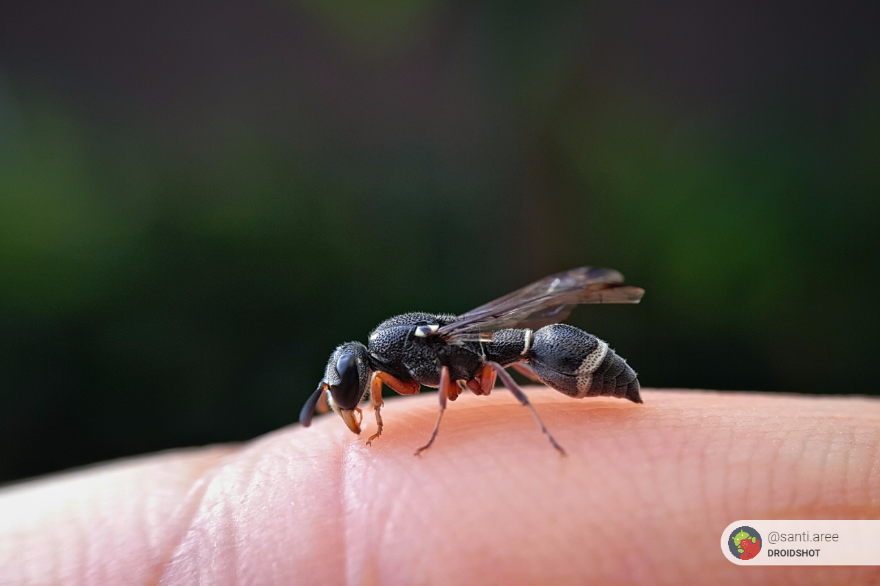 รวมภาพสวยจากกล้อง Android ผ่านแอป DroidShot ประจำสัปดาห์ที่ 30 | DroidSans