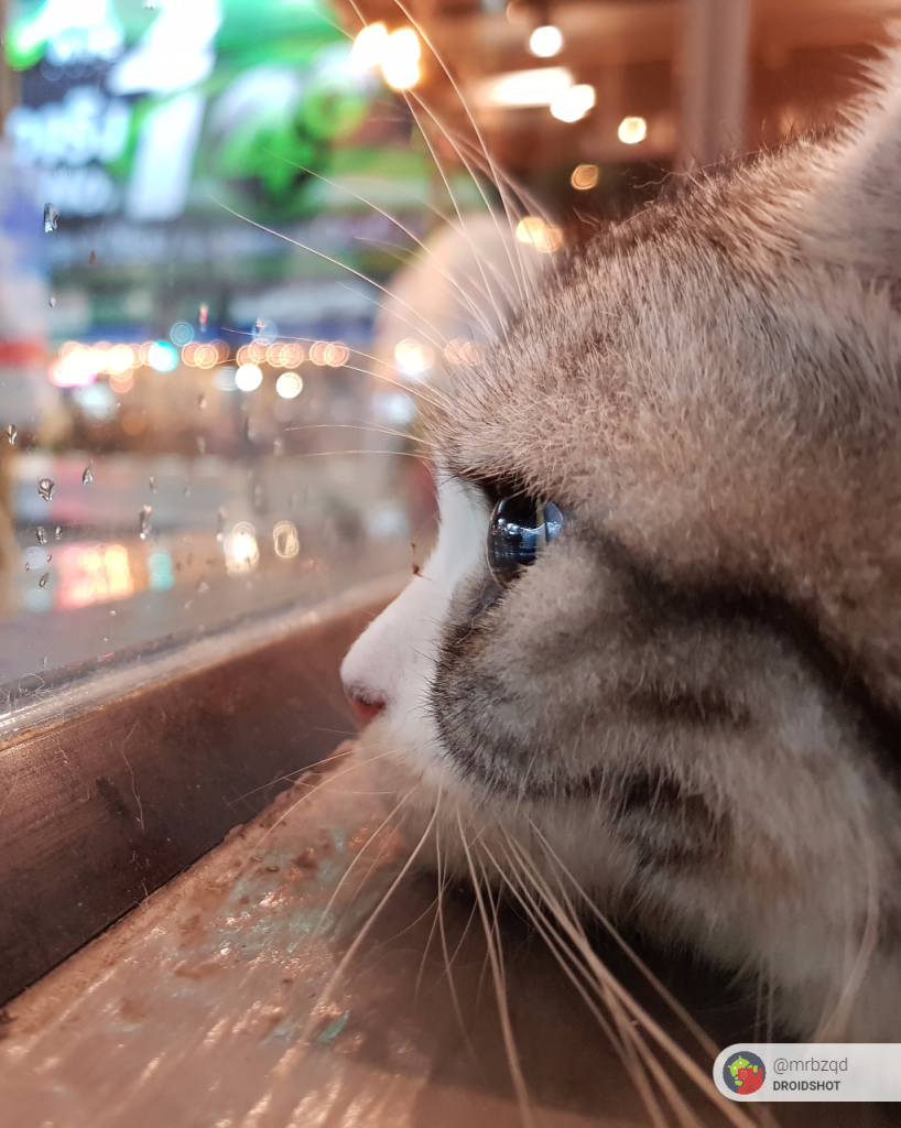 รวมภาพสวยจากกล้อง Android ผ่านแอป DroidShot ประจำสัปดาห์ที่ 34 | DroidSans