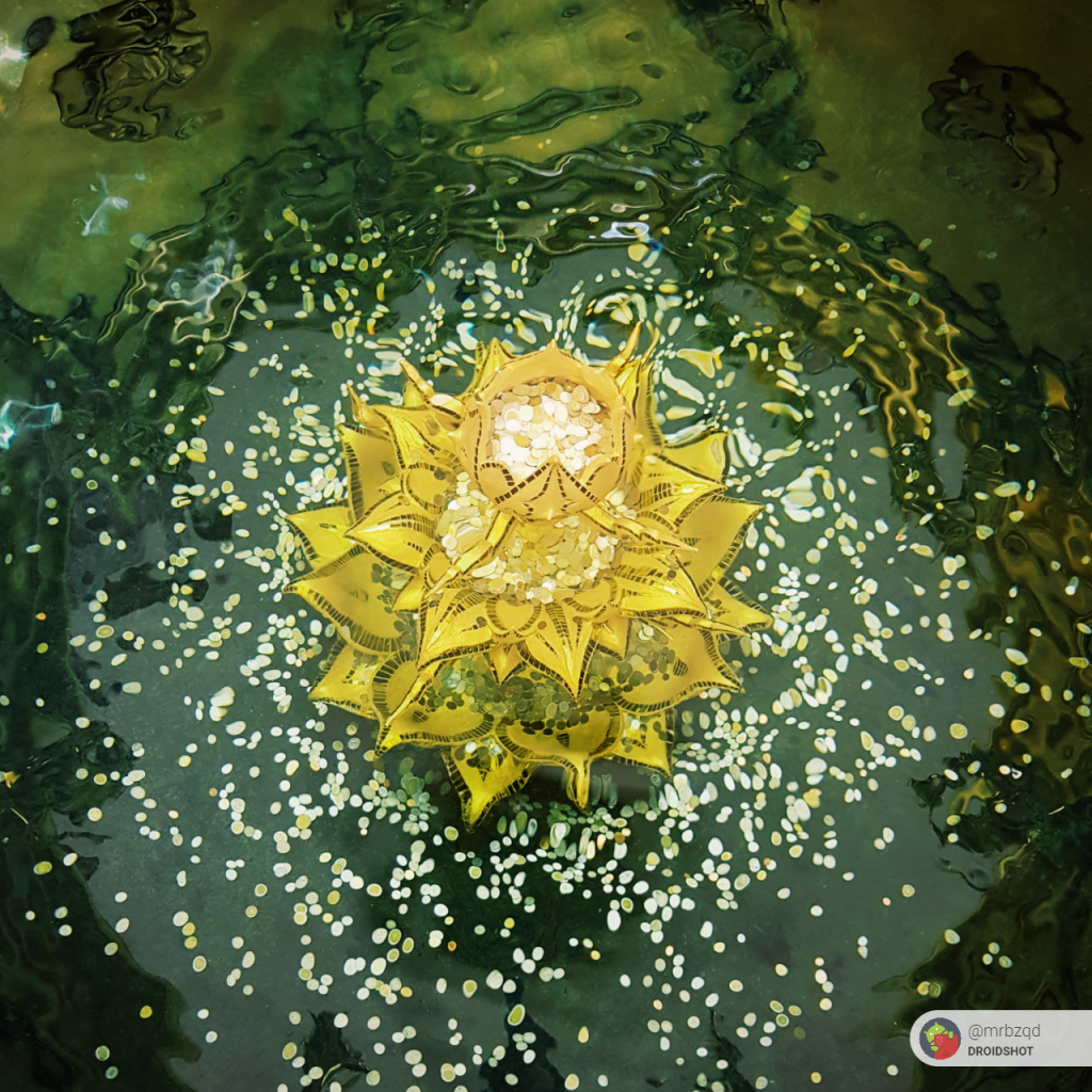 รวมภาพสวยจากกล้อง Android ผ่านแอป DroidShot ประจำสัปดาห์ที่ 34 | DroidSans