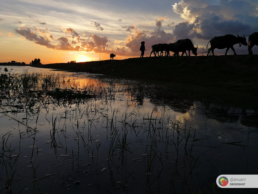 รวมภาพสวยจากกล้อง Android ผ่านแอป DroidShot ประจำสัปดาห์ที่ 34 | DroidSans