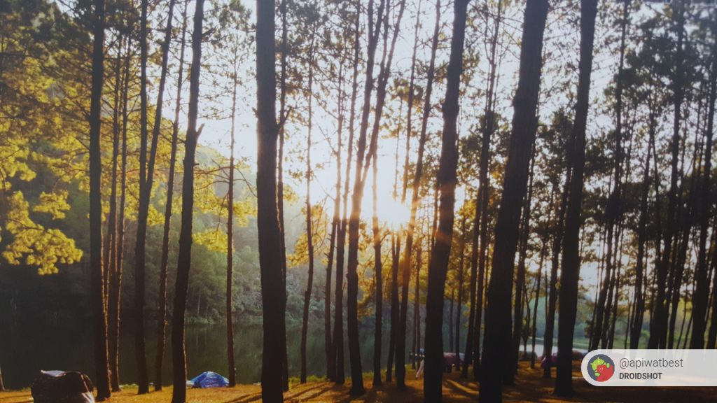 รวมภาพสวยจากกล้อง Android ผ่านแอป DroidShot ประจำสัปดาห์ที่ 36 | DroidSans