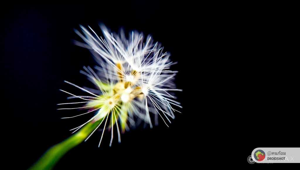 รวมภาพสวยจากกล้อง Android ผ่านแอป DroidShot ประจำสัปดาห์ที่ 36 | DroidSans