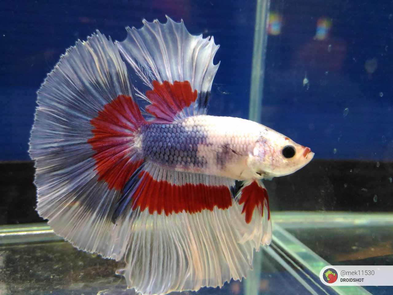 รวมภาพสวยจากกล้อง Android ผ่านแอป DroidShot ประจำสัปดาห์ที่ 36 | DroidSans