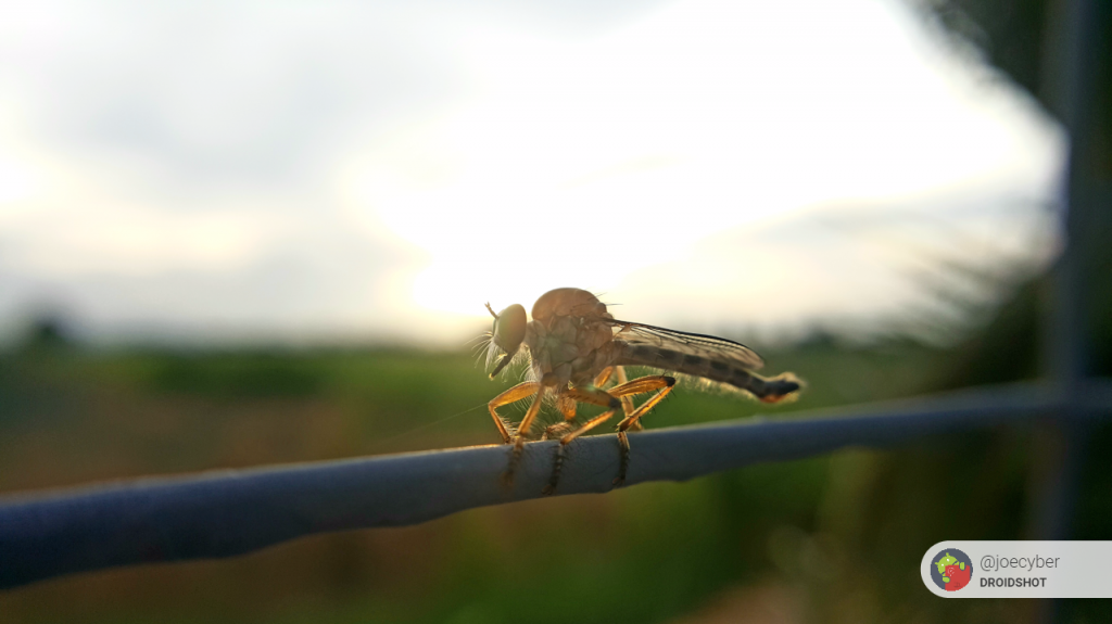 รวมภาพสวยจากกล้อง Android ผ่านแอป DroidShot ประจำสัปดาห์ที่ 39 | DroidSans