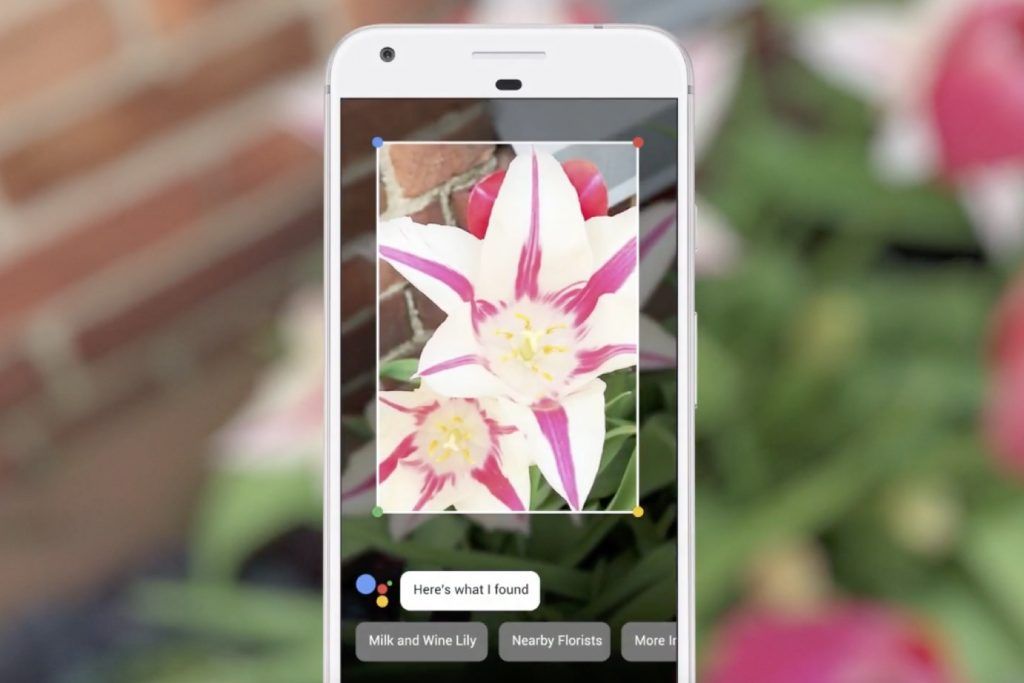 Google Lens เพิ่มความสามารถในการบอกข้อมูลผลงานศิลปะข้างถนนได้แล้ว | DroidSans