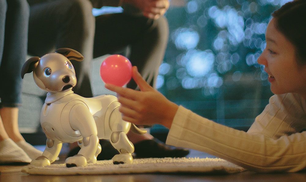 aibo หุ่นน้องหมาจาก Sony กลับมาแล้วหลังจากหายไป 12 ปี คราวนี้น่ารักและ ...