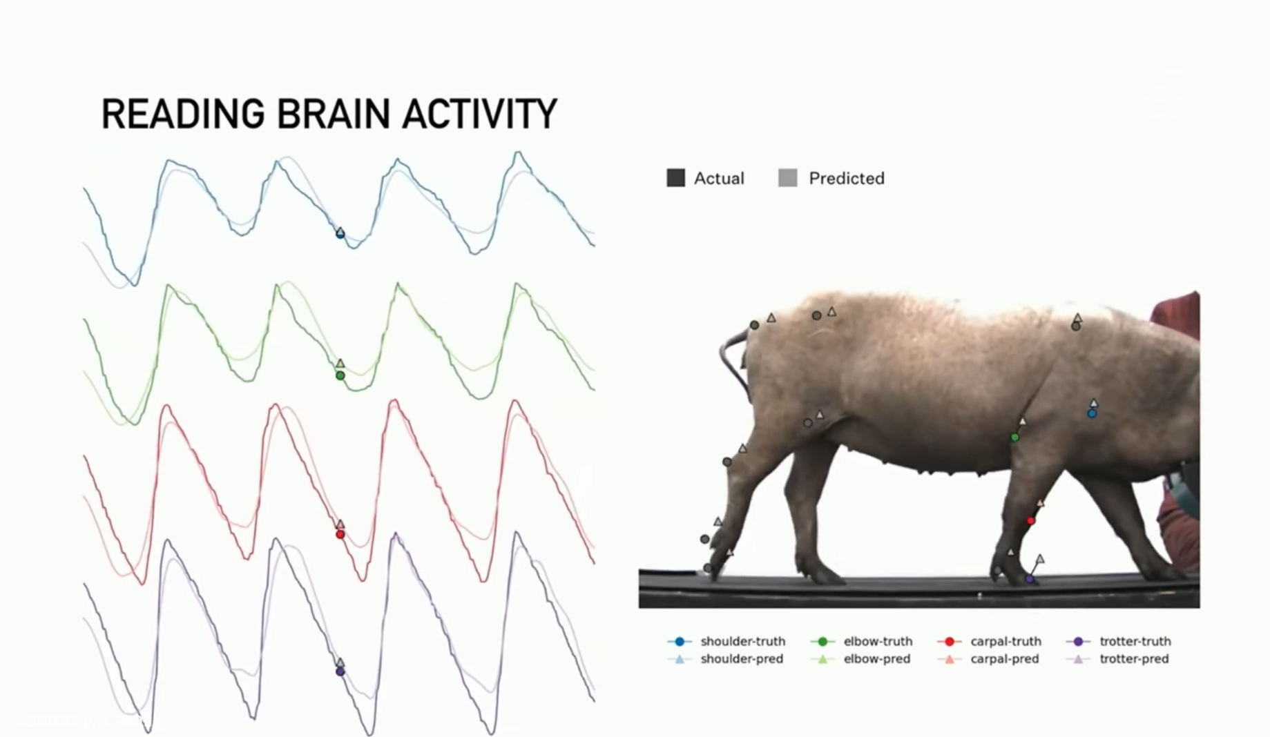 สรุปชิปฝังสมอง Neuralink เชื่อมต่อสมองได้จริง เล็งใช้รักษาโรค และพัฒนา ...