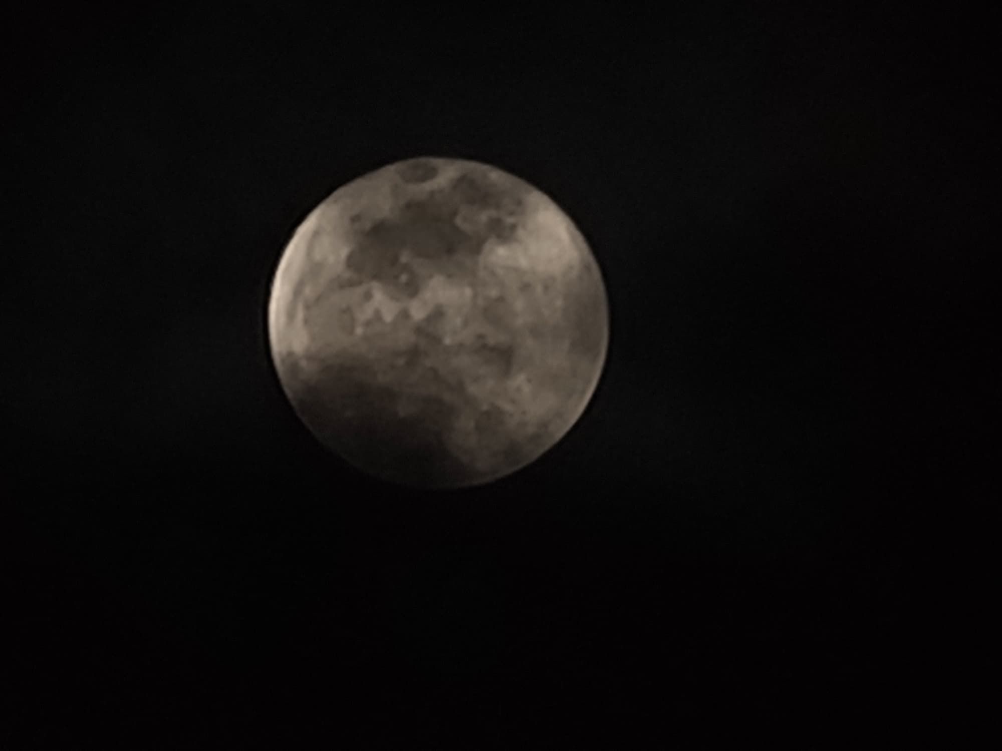 แอปกล้องมือถือ Samsung Galaxy ตั้งแต่ One UI 2.5 ขึ้นไป มีโหมดถ่ายภาพ ...