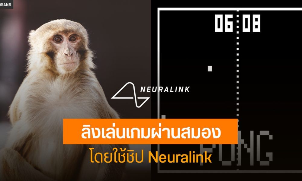 Neuralink ทดสอบฝังชิปในสมองลิง ให้สามารถควบคุมเกมผ่านความคิดได้ | DroidSans
