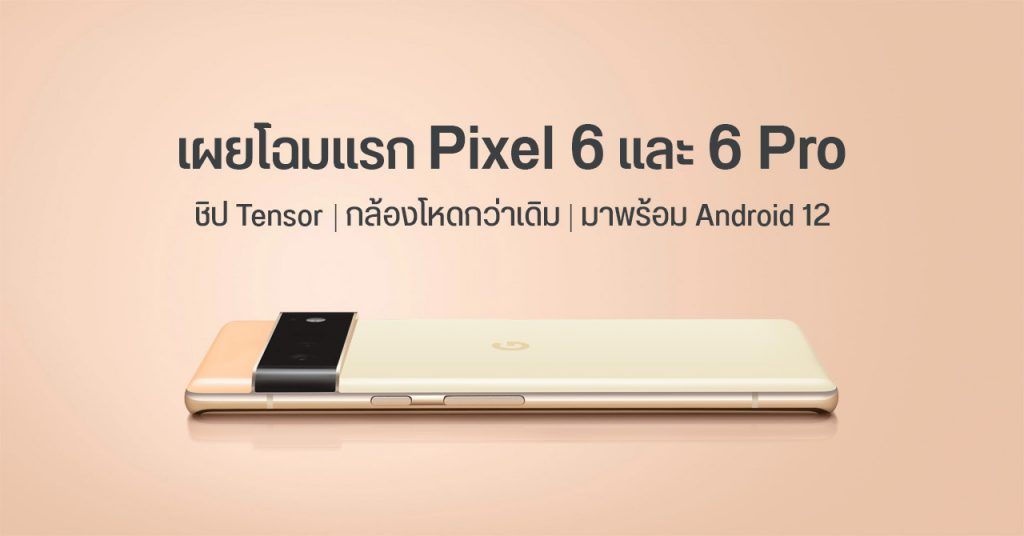 รวมปัญหา Google Pixel 6 และ Pixel 6 Pro | DroidSans