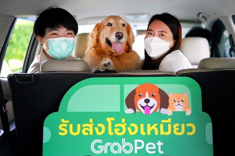 เปิดตัว GrabPet บริการใหม่จาก Grab เรียกรถรับส่งพาสัตว์เลี้ยงแสนรักไป ...