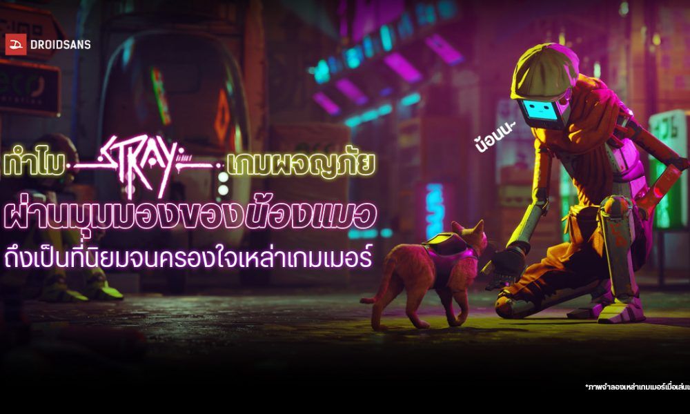 ทำความรู้จัก Stray เกมแมวจรยอดฮิต ที่ครองใจเหล่าทาสแมวและเกมเมอร์ทั่ว ...