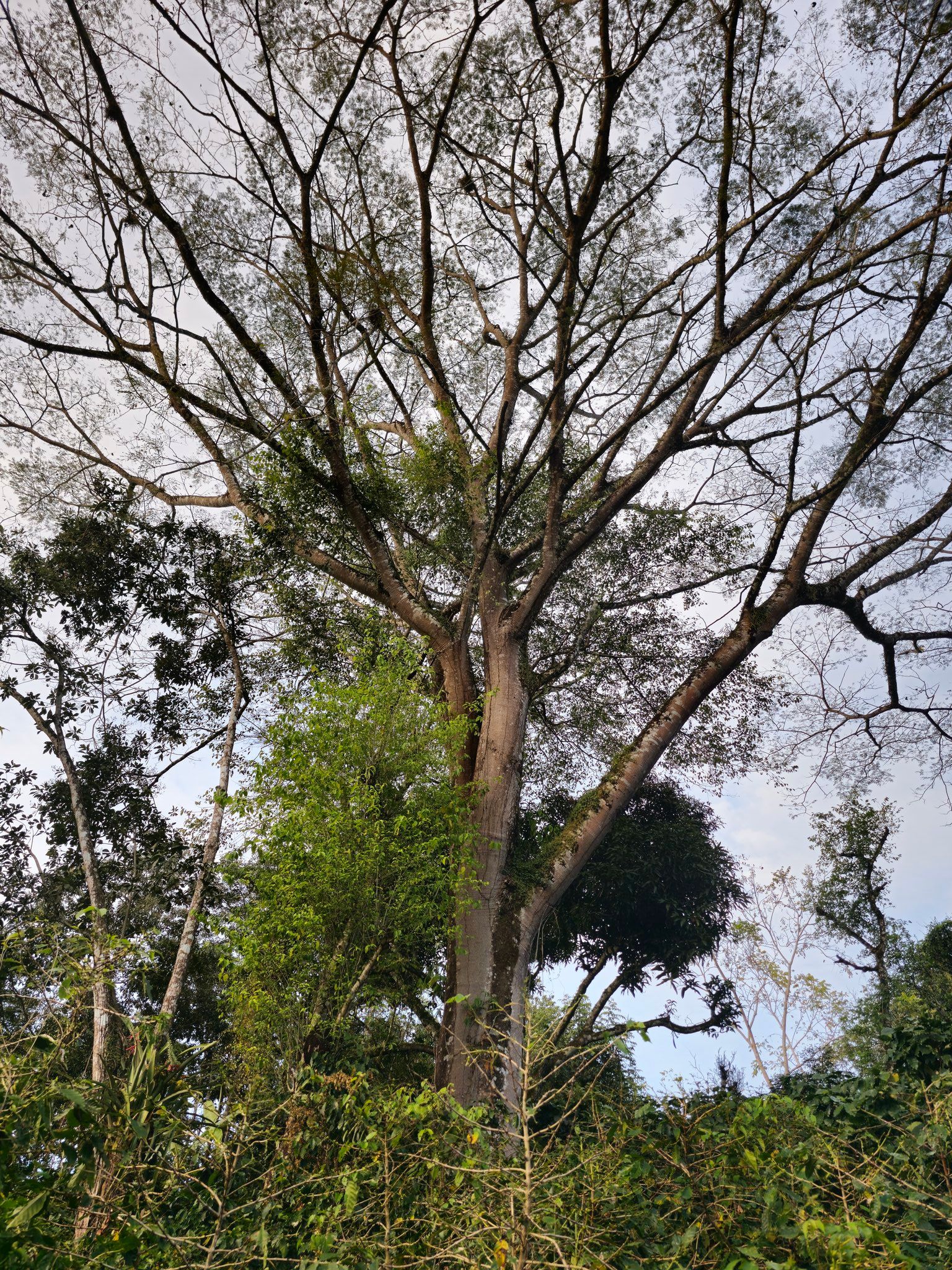 Samsung Galaxy S23 Ultra เผยตัวอย่างวิดีโอ 4K 60FPS สุดลื่นไหล พร้อมภาพ ...