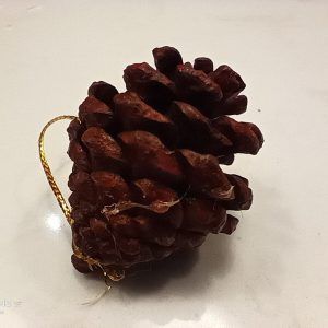 REVIEW | รีวิว TCL 40 SE มือถือสเปคแน่นแบตอึด จอใหญ่ กล้องชัด 50 ล้าน ลำโพงคู่กระหึ่ม | DroidSans