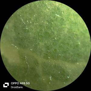 REVIEW | รีวิว OPPO A98 5G มือถือดีไซน์สนุก มีกล้องจุลทรรศน์ รองรับ ...