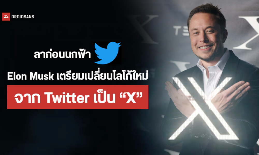 นกฟ้ากำลังหายไป เมื่อ Elon Musk กำลังวางแผนเปลี่ยนโลโกใหม่ จาก Twitter ...