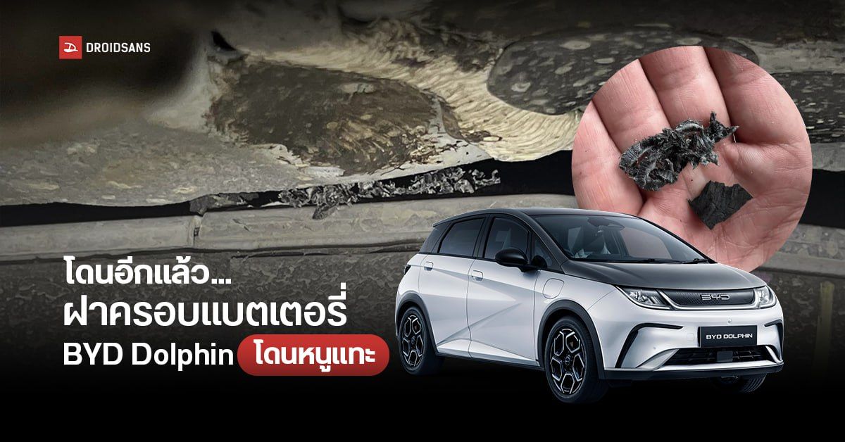 โดนอีกแล้ว...ฝาแบตเตอรี่รถยนต์ไฟฟ้า BYD Dolphin โดนหนูแทะ หลังออกรถได้เพียง 2 สัปดาห์ | DroidSans