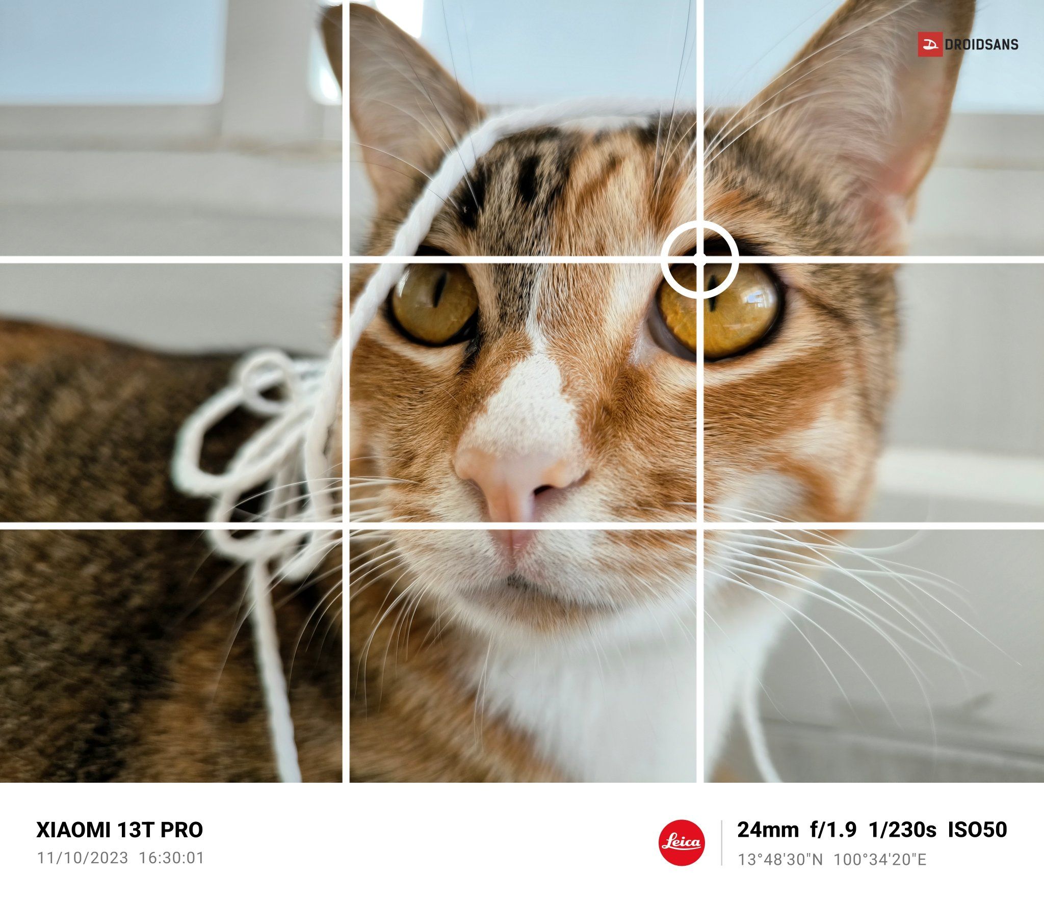 Tips | 10 วิธีถ่ายรูปบนมือถือสวย ๆ ด้วย Grid lines เส้นจุดตัด 9 ช่อง | DroidSans