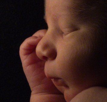 Halide แอปกล้องโปรบน iPhone ออกฟีเจอร์ Process Zero ถ่ายภาพแบบดิบ ๆ ไร้การปรับแต่งจาก AI | DroidSans