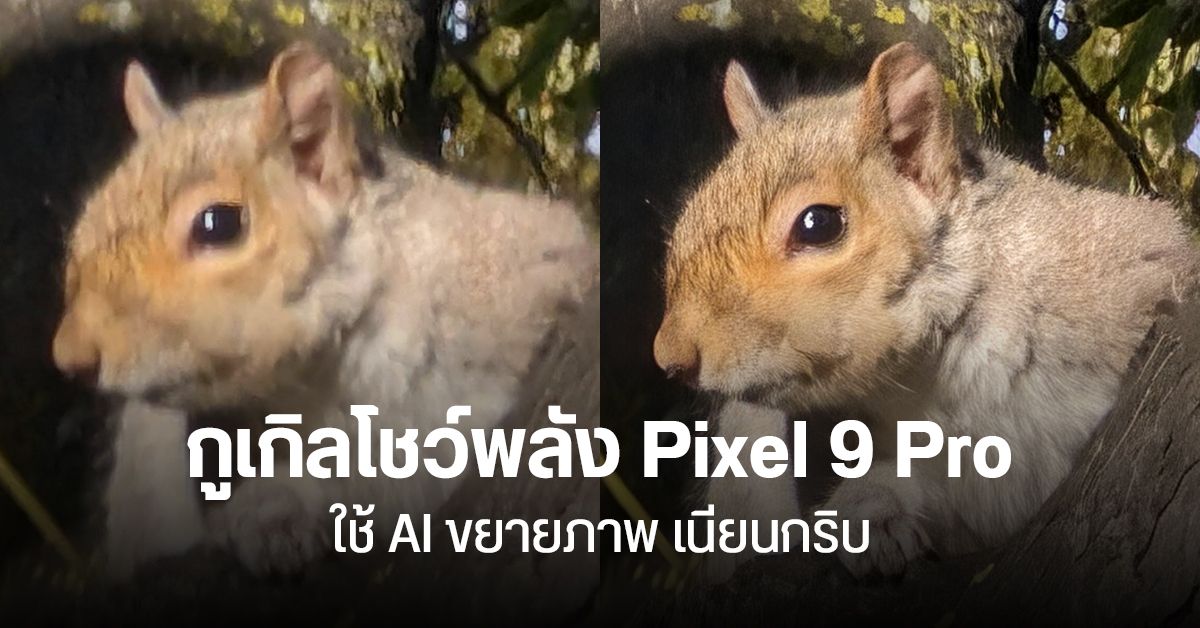 Google Research โชว์พลัง Zoom Enhance บน Pixel 9 Pro ถ่ายก่อน ซูมทีหลัง ภาพชัดกริบด้วย AI ...
