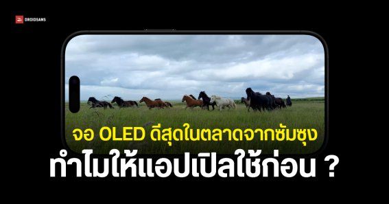 ทำไม iPhone 17 ได้ใช้จอ OLED แบบ M14 ก่อน Galaxy S25 ทั้งที่ Samsung เป็นผู้พัฒนา | DroidSans