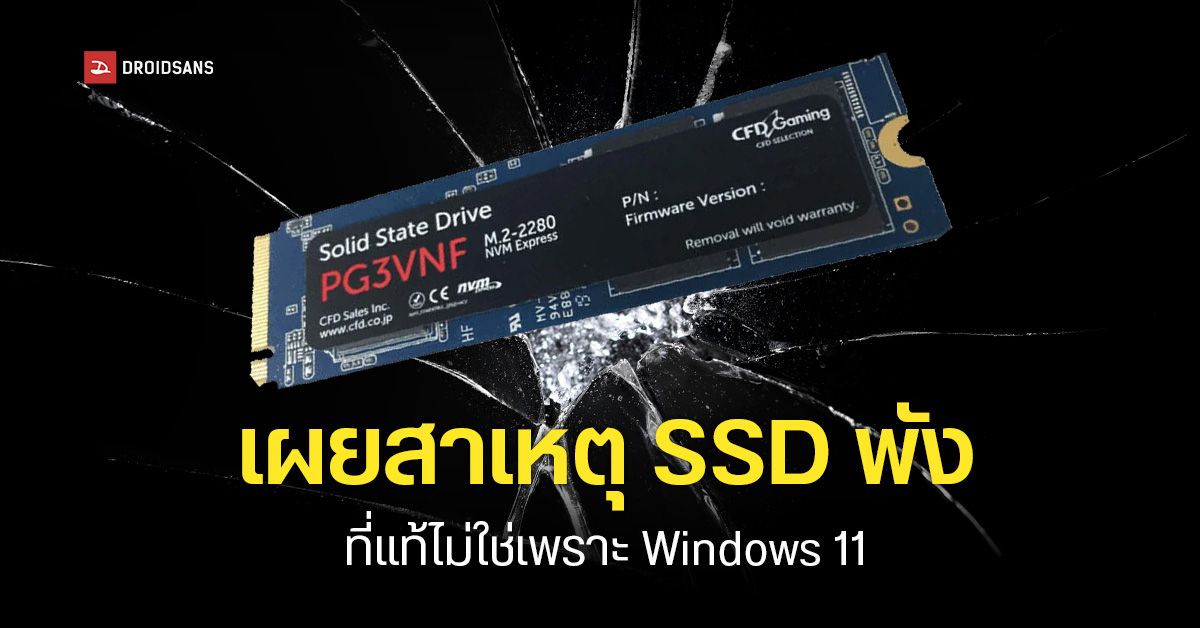 Phison ยืนยัน SSD พังหลังอัปเดต Windows 11 (อาจ) เกิดจากเฟิร์มแวร์ทดลองที่ยังไม่สมบูรณ์ | DroidSans