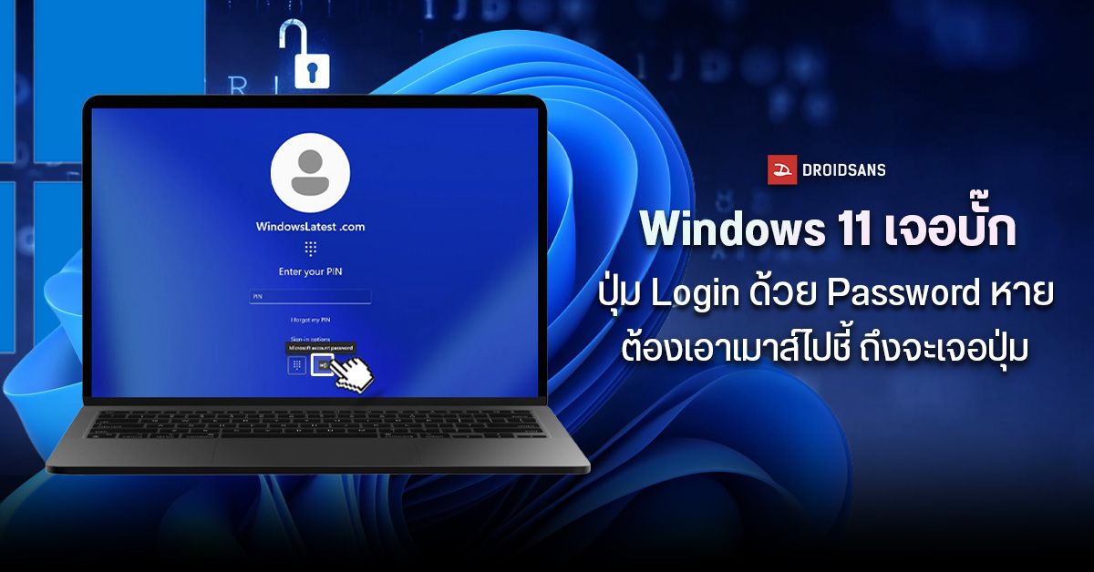 Windows 11 เจอบั๊กปุ่ม Login ด้วย Password หาย Microsoft บอกไม่ได้หาย ...